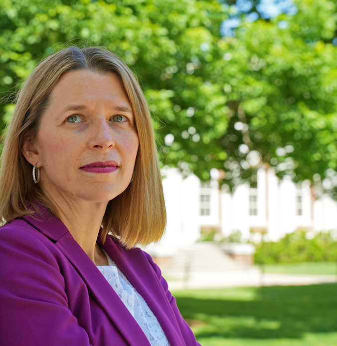 Is DEI done at the University of Virginia?