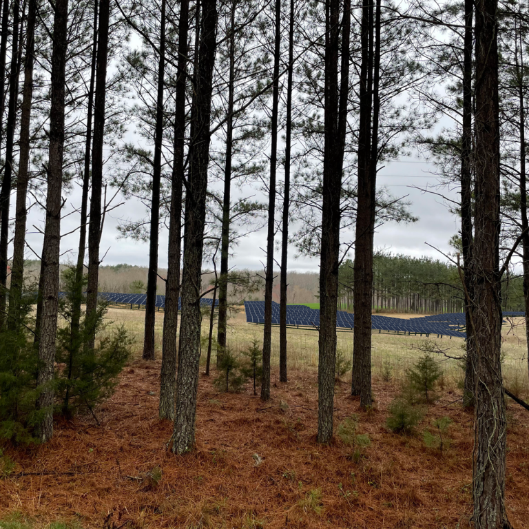 Charlotte County approves Va.’s largest solar farm - Virginia Business